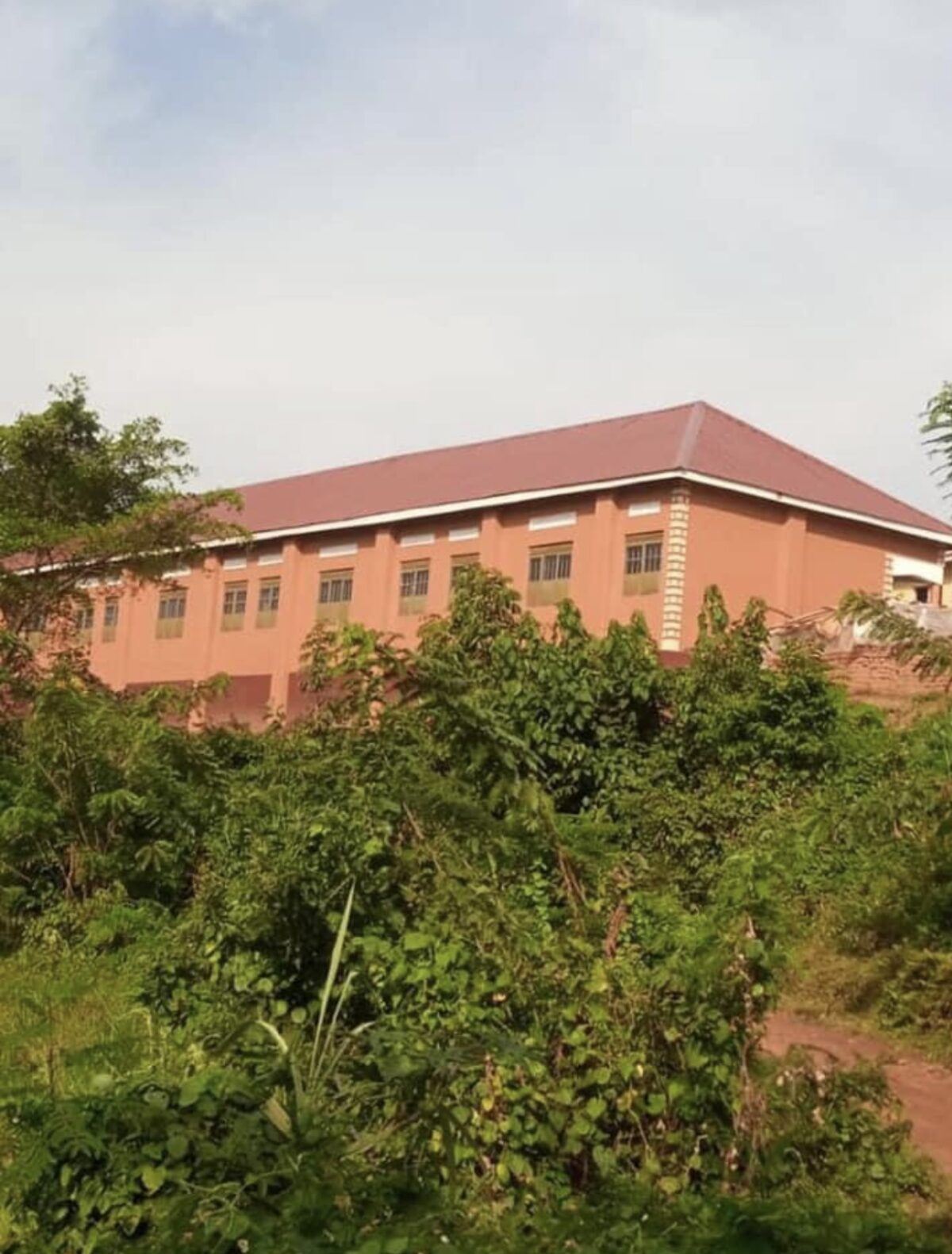Welcome to the Friends of Toowa - Friends Of Toowa